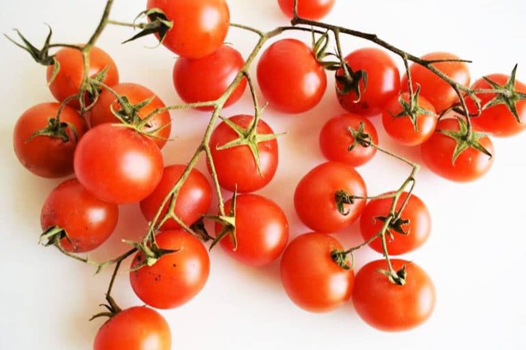 Recetas con tomates fáciles y ricas | Las Recetas Fáciles de María